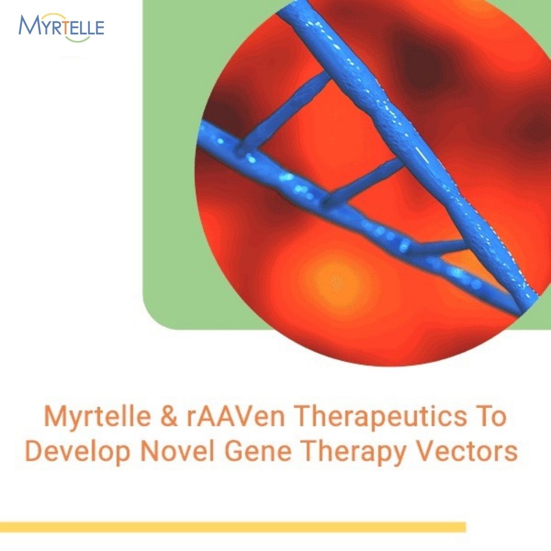 Myrtelle and rAAVen Therapeutics to Develop Novel Gene Therapy Vectors ...