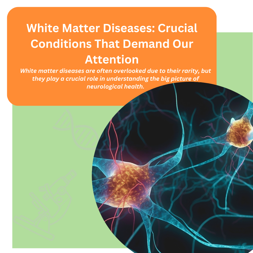 White Matter Diseases: Conditions That Demand Attention - Myrtelle, Inc.