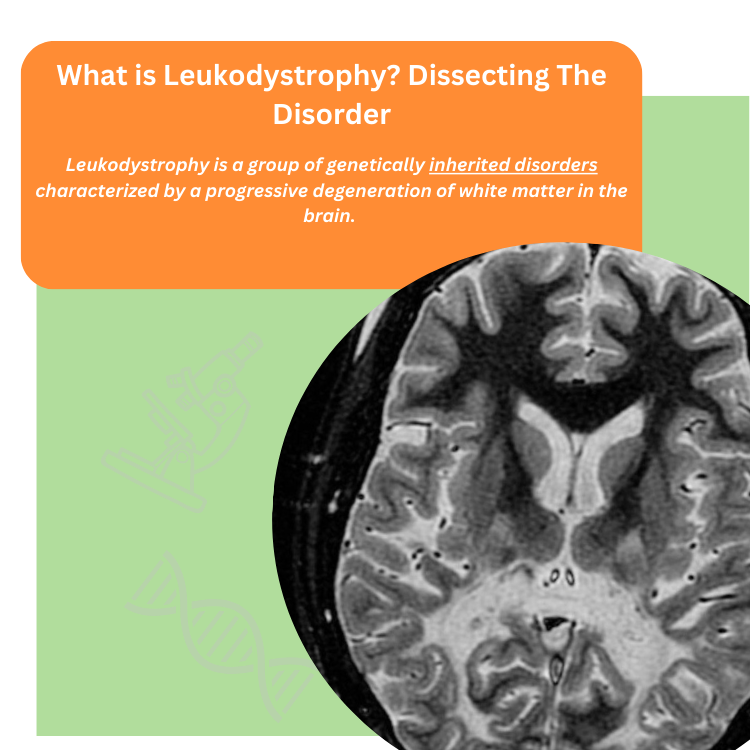 What is Leukodystrophy? Dissecting The Disorder - Myrtelle, Inc.