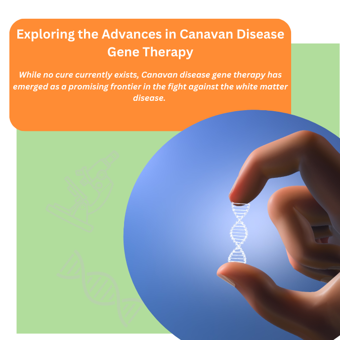 Exploring the Advances in Canavan Disease Gene Therapy - Myrtelle, Inc.