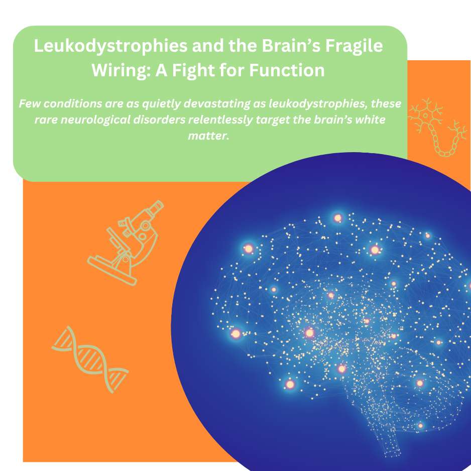 Leukodystrophies and the Brain’s Fragile Wiring - Myrtelle, Inc.